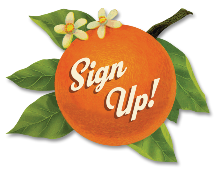 Mango Flavor | Mango Uses, Pairings & Recipes