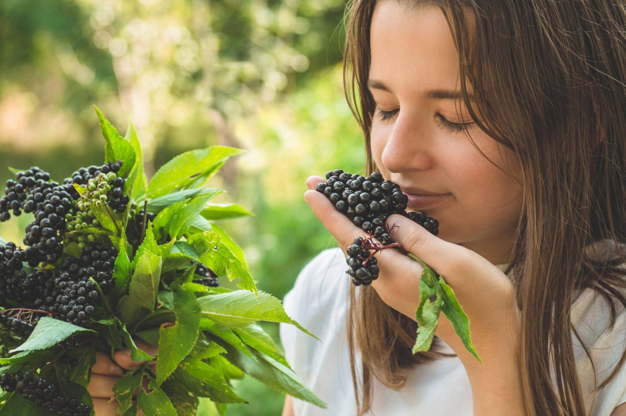 Natural Elderberry Flavor | Elderberry Uses, Pairings and Recipes