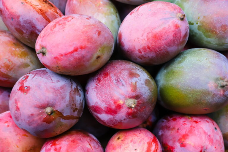 Mango Flavor | Mango Uses, Pairings, & Recipes | Flavor Trends