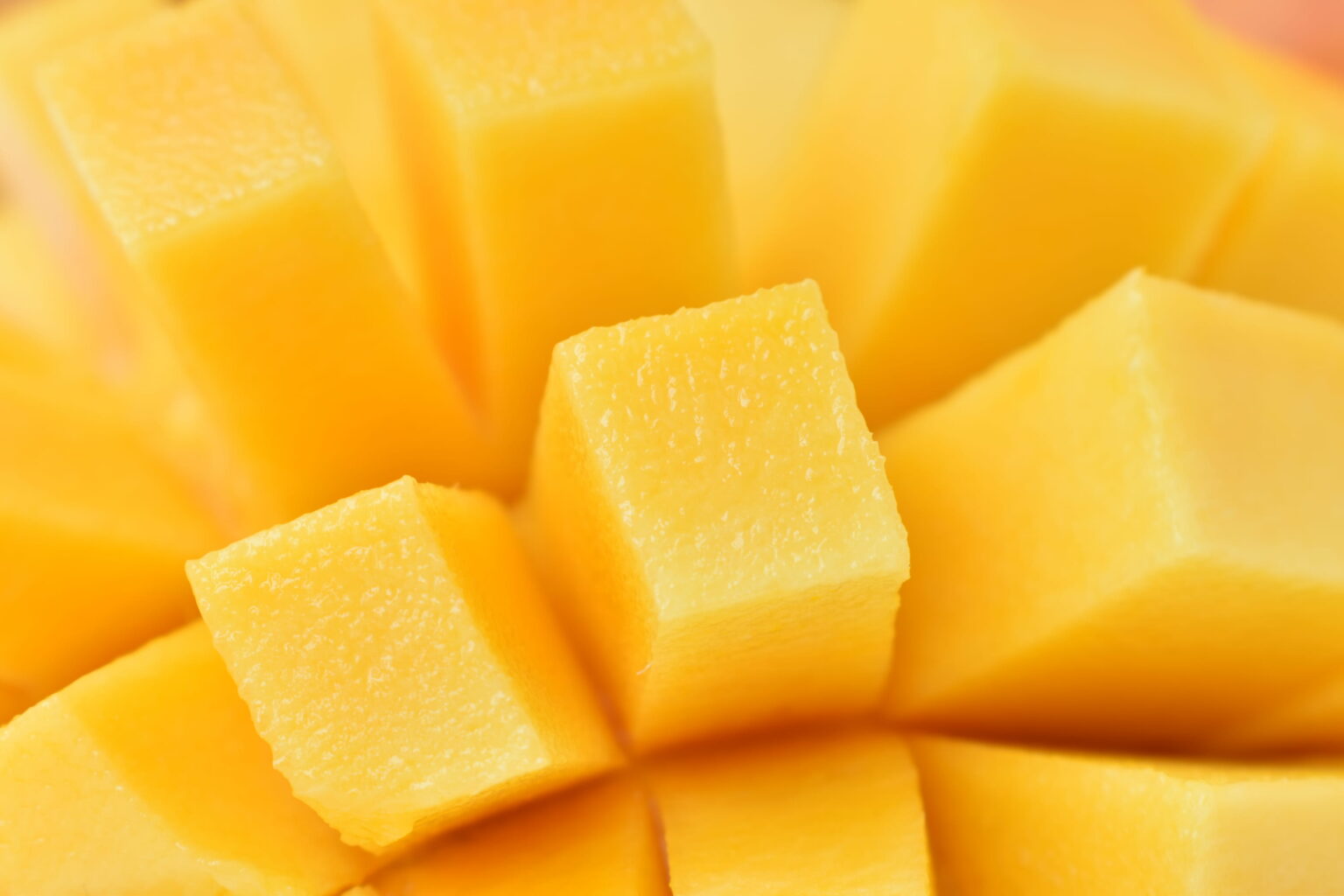 Mango Flavor | Mango Uses, Pairings, & Recipes | Flavor Trends