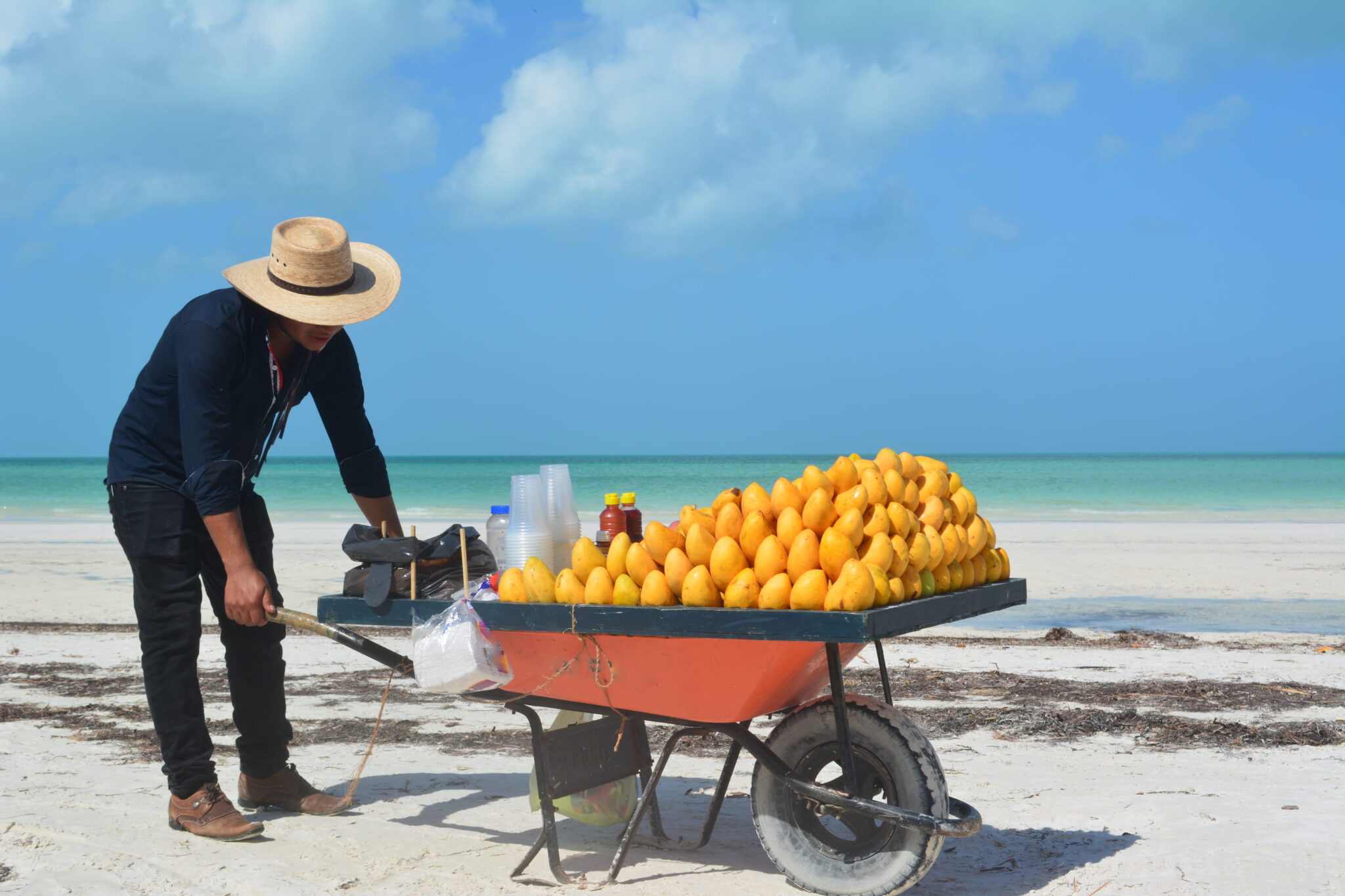 Mango Flavor | Mango Uses, Pairings, & Recipes | Flavor Trends