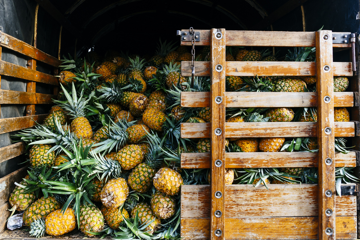 Natural Pineapple Flavor | Trends & Innovation