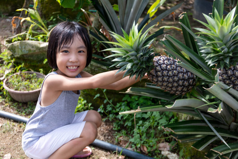 Natural Pineapple Flavor | Trends & Innovation