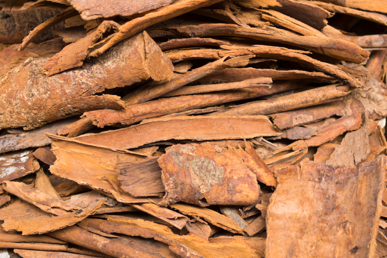 Natural Cinnamon Flavor | Trends & Innovation