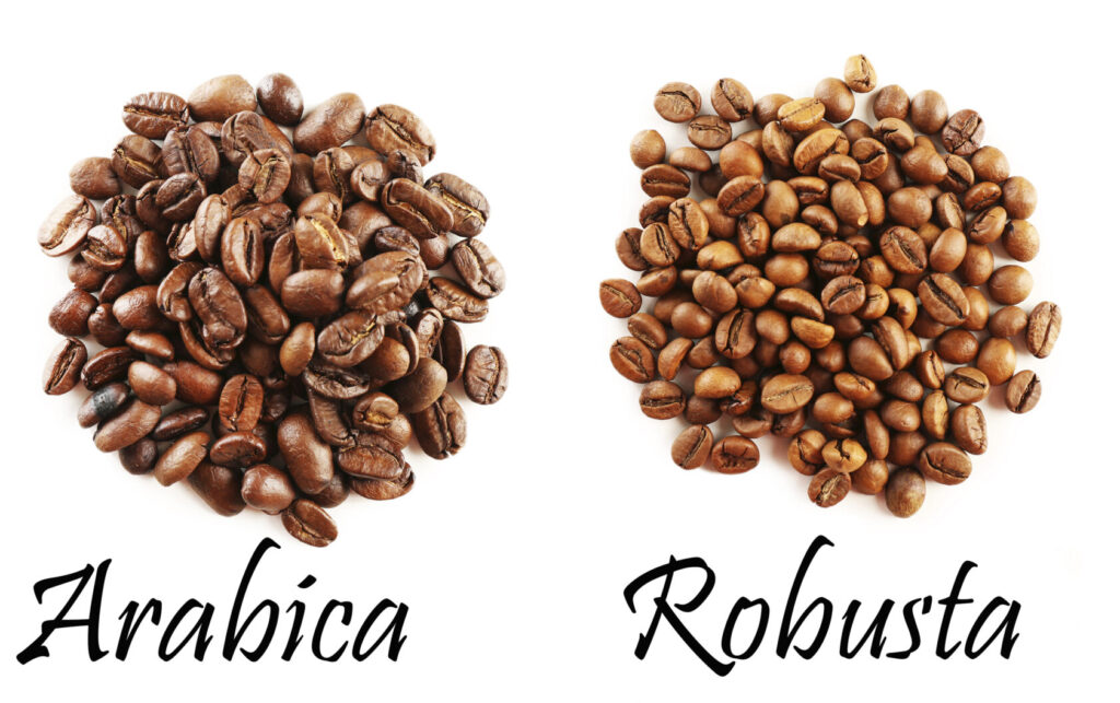 Coffee Beverage Development Guide