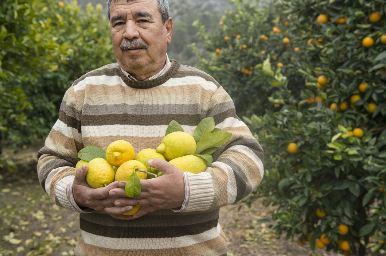 Natural Lemon Flavor | Trends & Innovation