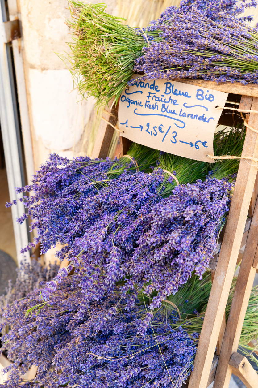 Natural Lavender Flavor | Trends & Innovation